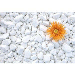Oblutak beli - Tasos 1-3 cm 25kg