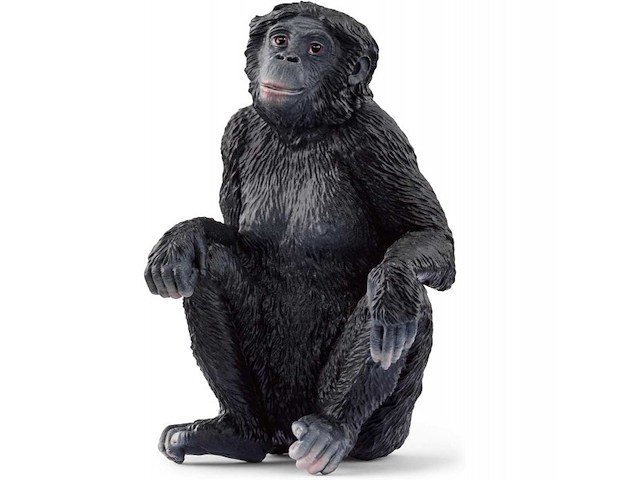 Schleich® Figure Divlje životinje Bonobo majmun ženka 14875