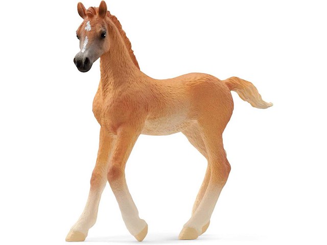 Schleich figure Domaće životinje Konji - Arapsko ždrebe 13984