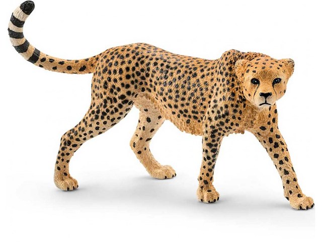 Schleich Divlje Životinje - Gepard - ženka