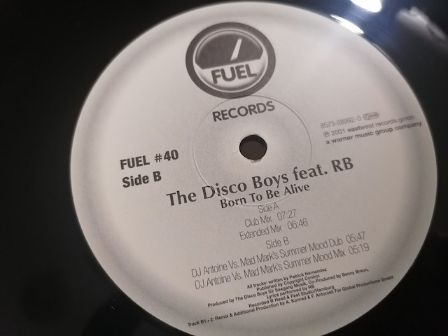 The Disco Boys Ft RB - Born To Be Alive (House)