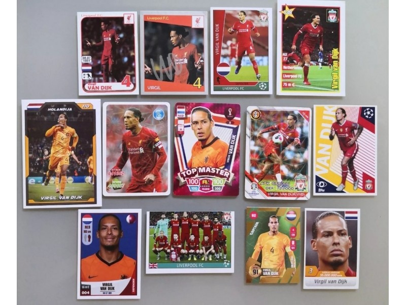Virgil VAN DIJK LOT 13 kartica i slicica!