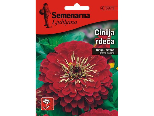 Cveće 5 kesica Lepi čovek - Cinija - crvena - Zinnia elegans 5973