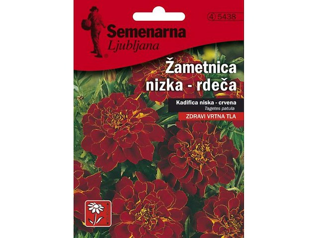 Seme za sadnju 5 kesica - cveće Kadifa niska - crvena -  Tagetes patula 5438