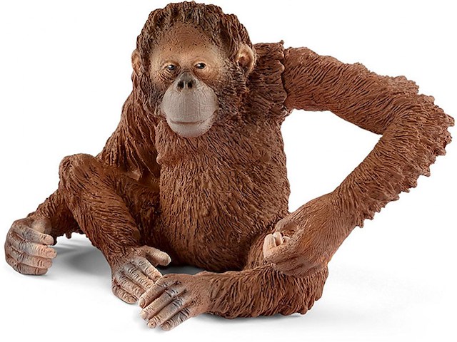 Schleich Figure Divlje životinje - Majmun orangutan - ženka 14775