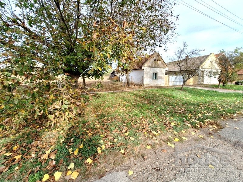 ID 3045892, Novi Sad, CENTAR