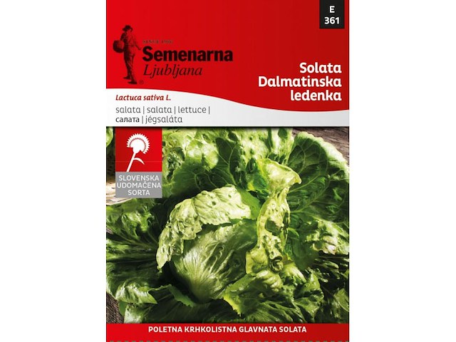 Seme - Zelena salata dalmatinska ledenka -  Lactuca sativa L. 361