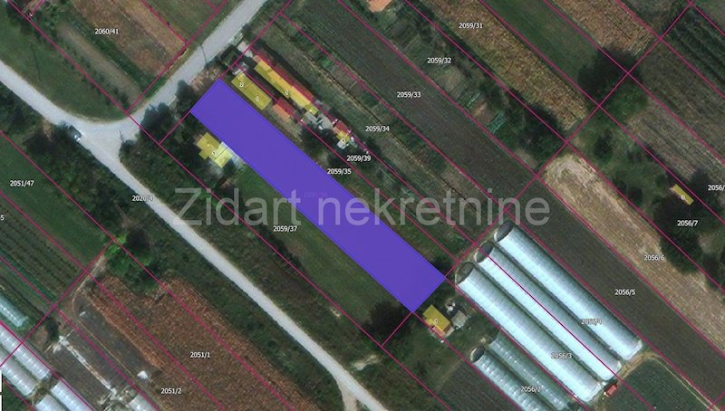 ID 3567458, Sremski okrug, Indjija Novi Slankamen,