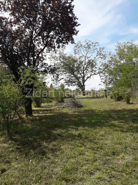 ID 3576357, Sremski okrug, Stara Pazova Belegiš,