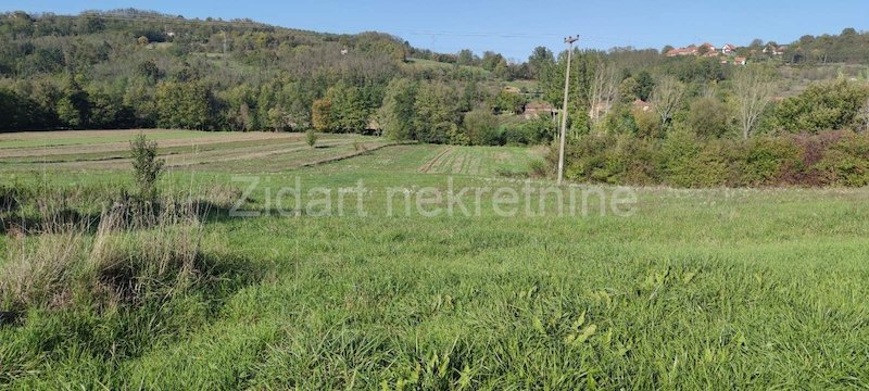 ID 3577015, Šumadijski okrug, Topola Topola (varošica),