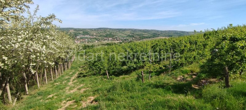 ID 3529251, Šumadijski okrug, Aranđelovac Darosava,