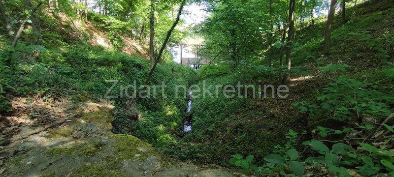 ID 3529250, Šumadijski okrug, Aranđelovac Darosava,