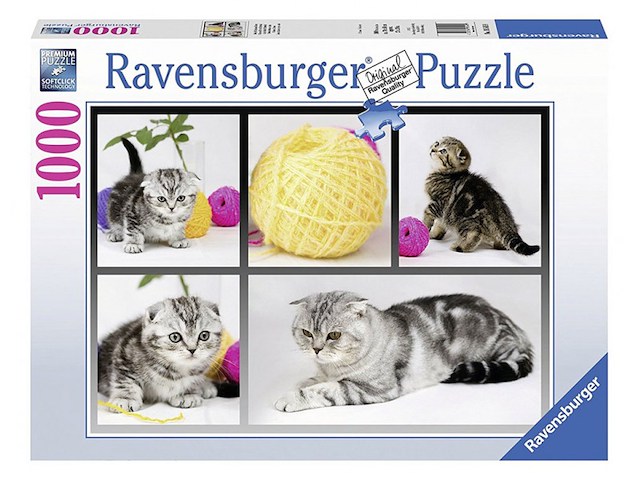 Ravensburger puzzle Animal Kingdom Collection - British ShortHair Cat 1000 delova RA19545