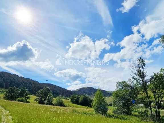 Zlatibor, Rudine, zemljište, 65,15a