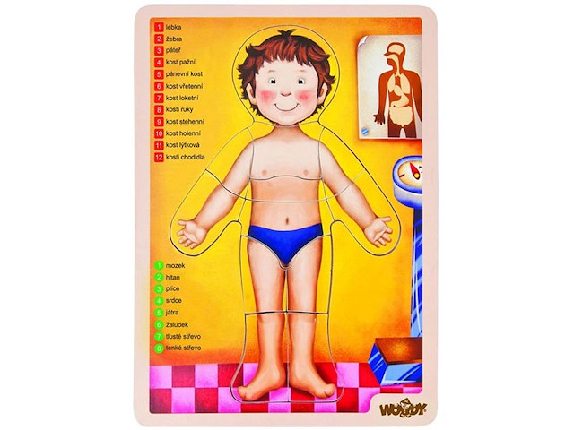 WOODY Slagalica LJUDSKO TELO - Puzzle Human Body 90332 - Engleska verzija