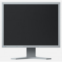 Eizo FlexScan S2133-GY