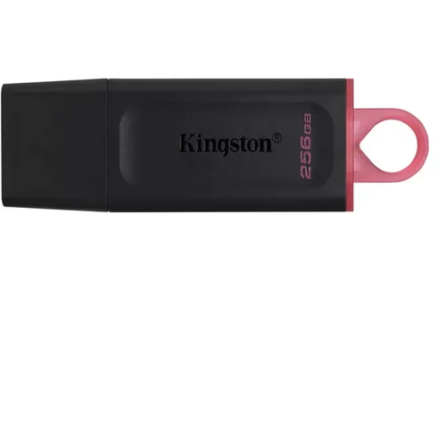 KINGSTON USB Flash memorija 256GB