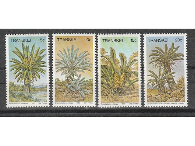 Transkei - 1980 - Cycads **