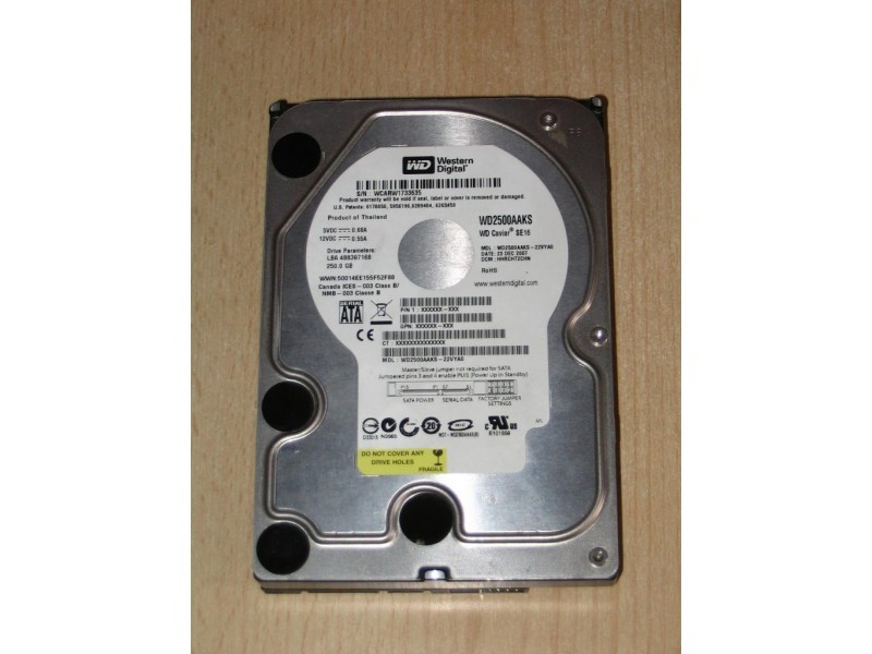 Western Digital 250GB hard disk