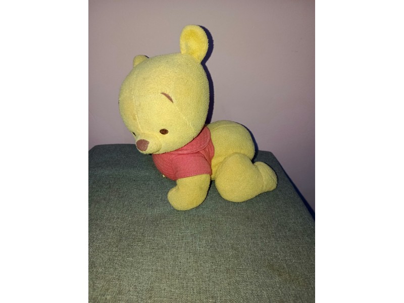 Fisher Price Baby Winnie The Poo