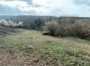 Prodaja Građevinsko zemljište - Beočin, Čerević