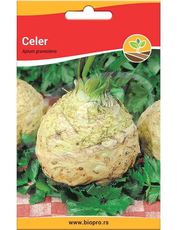 CELER PRASKI 10GR