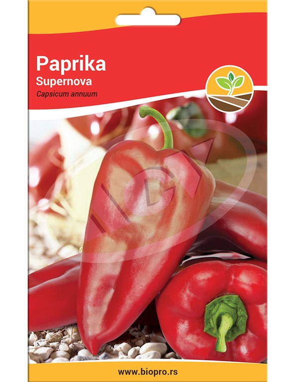 PAPRIKA SUPERNOVA 10GR