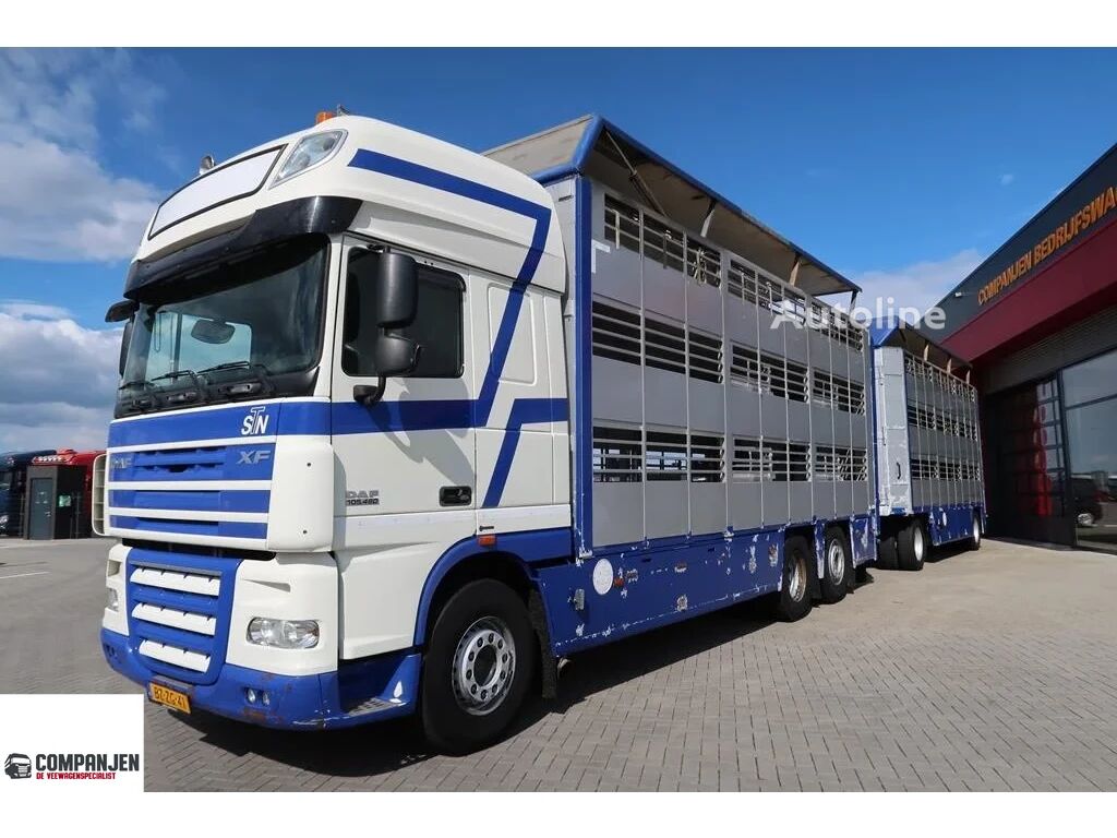 DAF XF 105 XF 105-460 - 2012 kamion za prevoz stoke