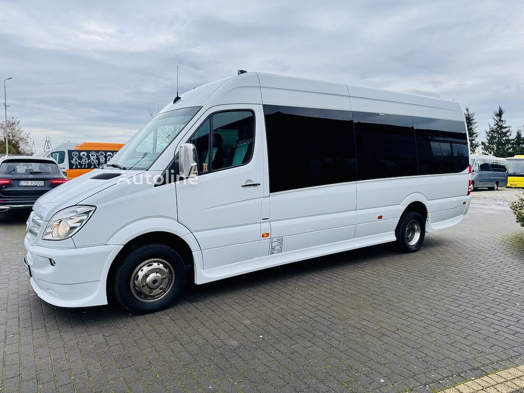 Mercedes-Benz Sprinter 516 putnički minibus