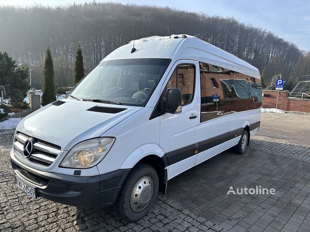 Mercedes-Benz Sprinter 519 putnički minibus