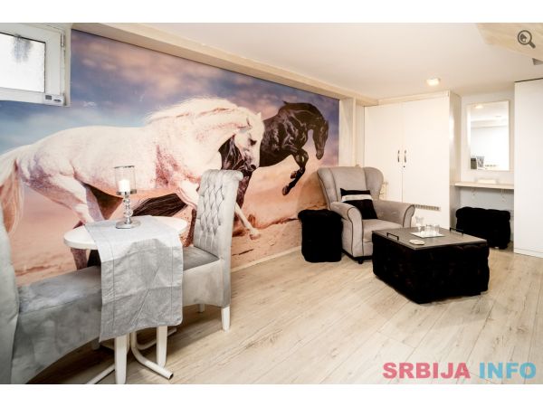 Studio Apartman Mustang2 Beograd Zvezdara