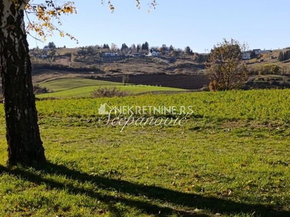 Petrovaradin, Bukovac, Zemljište, 21066ari, 585000 EUR