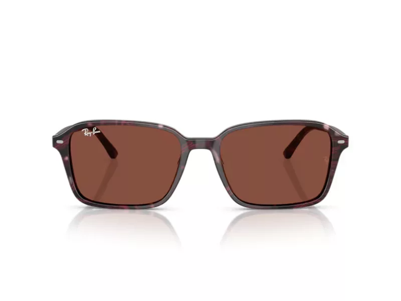 Ray-Ban Raimond Naočare za sunce RB 2231 1416C5