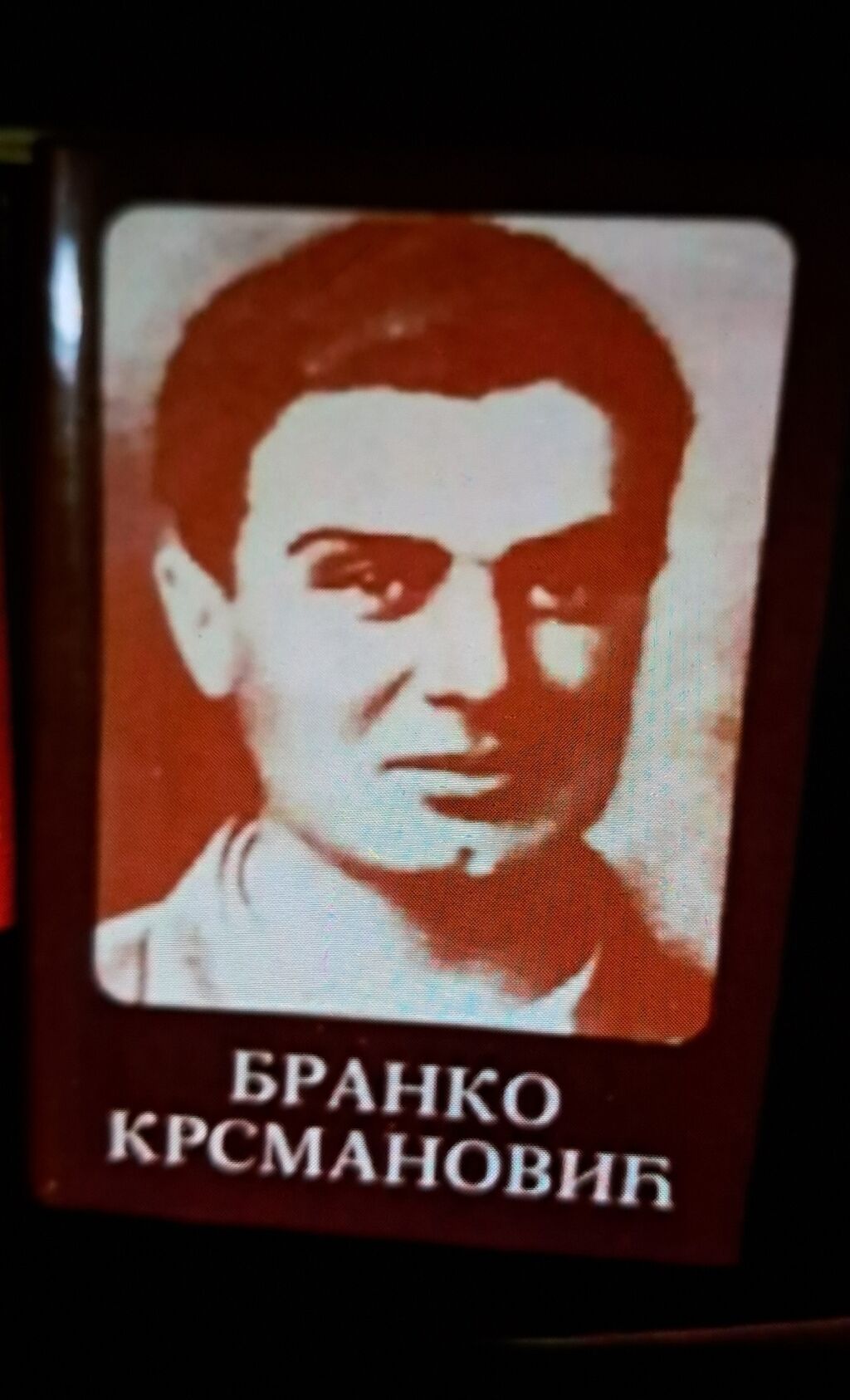 Knjiga o Paraćinu životu i radu Branka Krsmanovića. Izdanje 1981