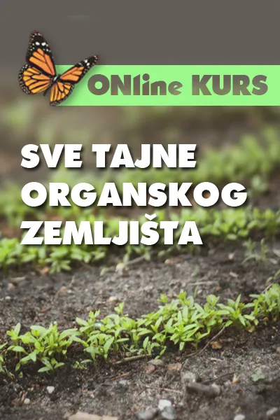 Program: SVE TAJNE ORGANSKOG ZEMLJIŠTA, 6 meseci