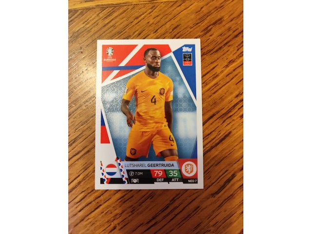 Match attax EURO 2024 sličica broj NED07