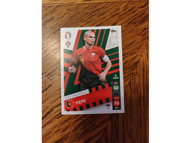 Match attax EURO 2024 sličica broj 079