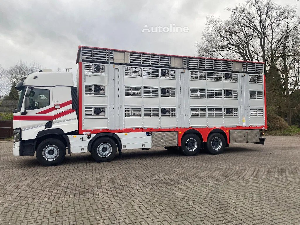 Renault C520 8x4 Pezzaioli 1/2/3 Livestock Retarder kamion za prevoz stoke