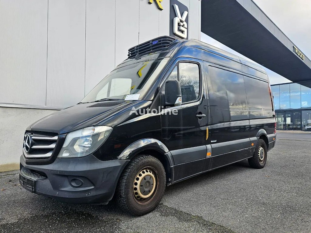 Mercedes-Benz Sprinter 313 minibus hladnjača