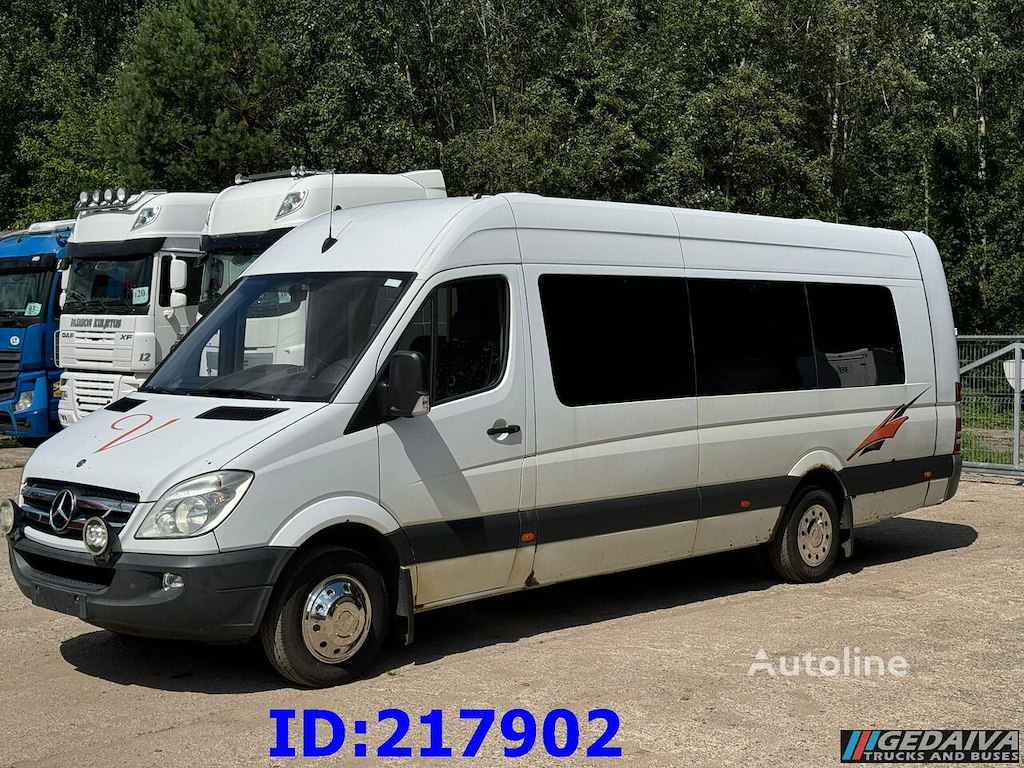 Mercedes-Benz Sprinter 516 - VIP - 23 Seater turistički autobus