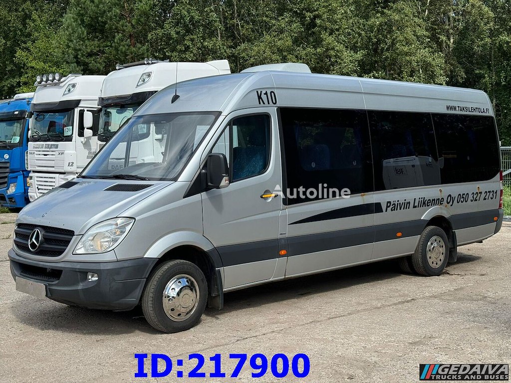 Mercedes-Benz Sprinter 516 - VIP - 17 places turistički autobus