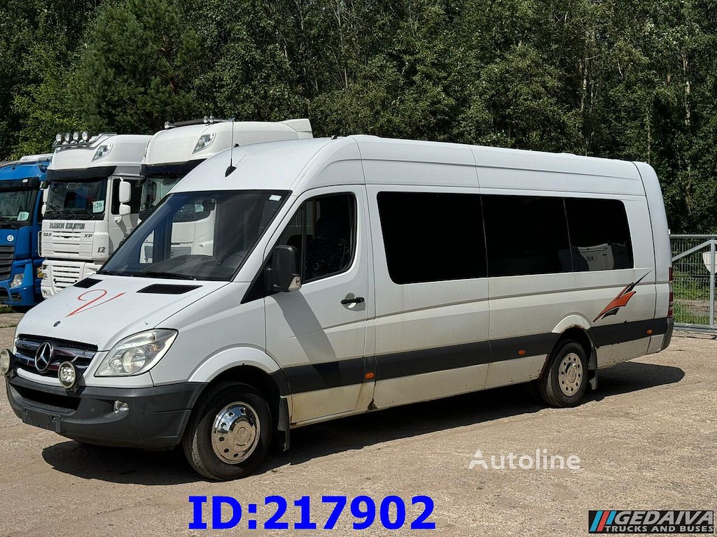 Mercedes-Benz Sprinter 516 - VIP - 23 Seater putnički minibus