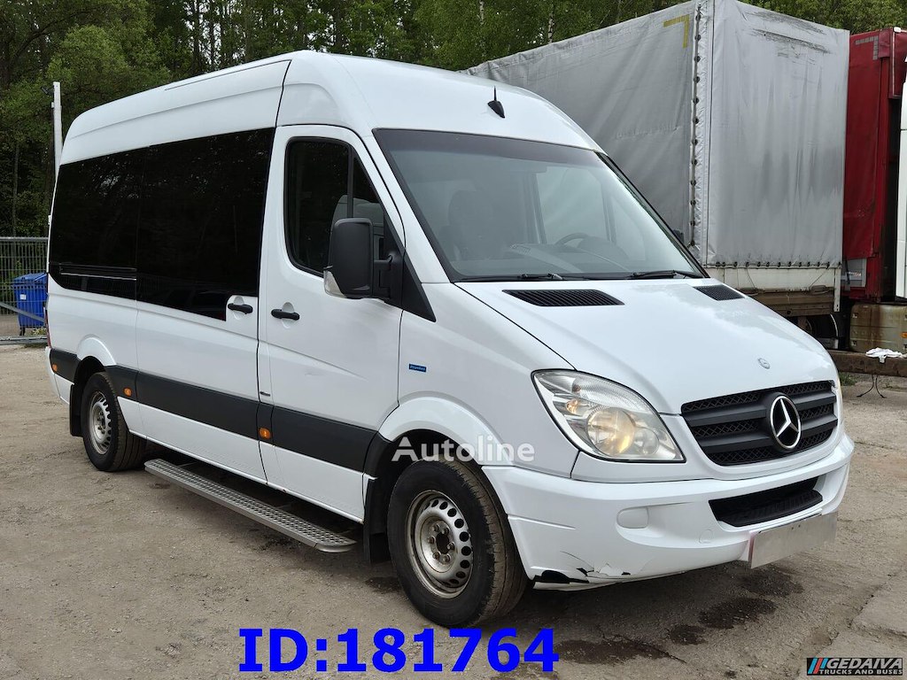 Mercedes-Benz Sprinter 316 Pegabus Euro5 putnički minibus