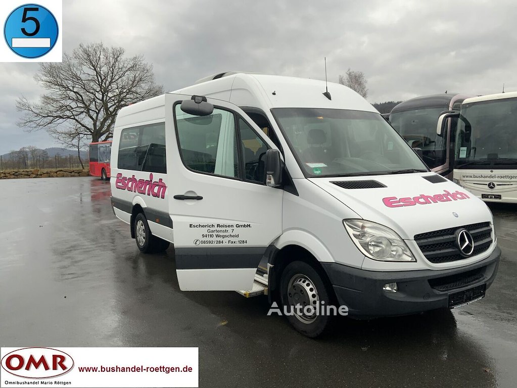 Mercedes-Benz 513 CDI Sprinter putnički minibus