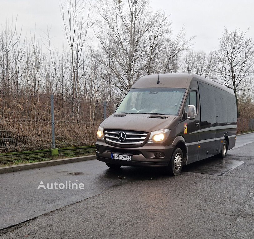 Mercedes-Benz Sprinter 416 putnički minibus