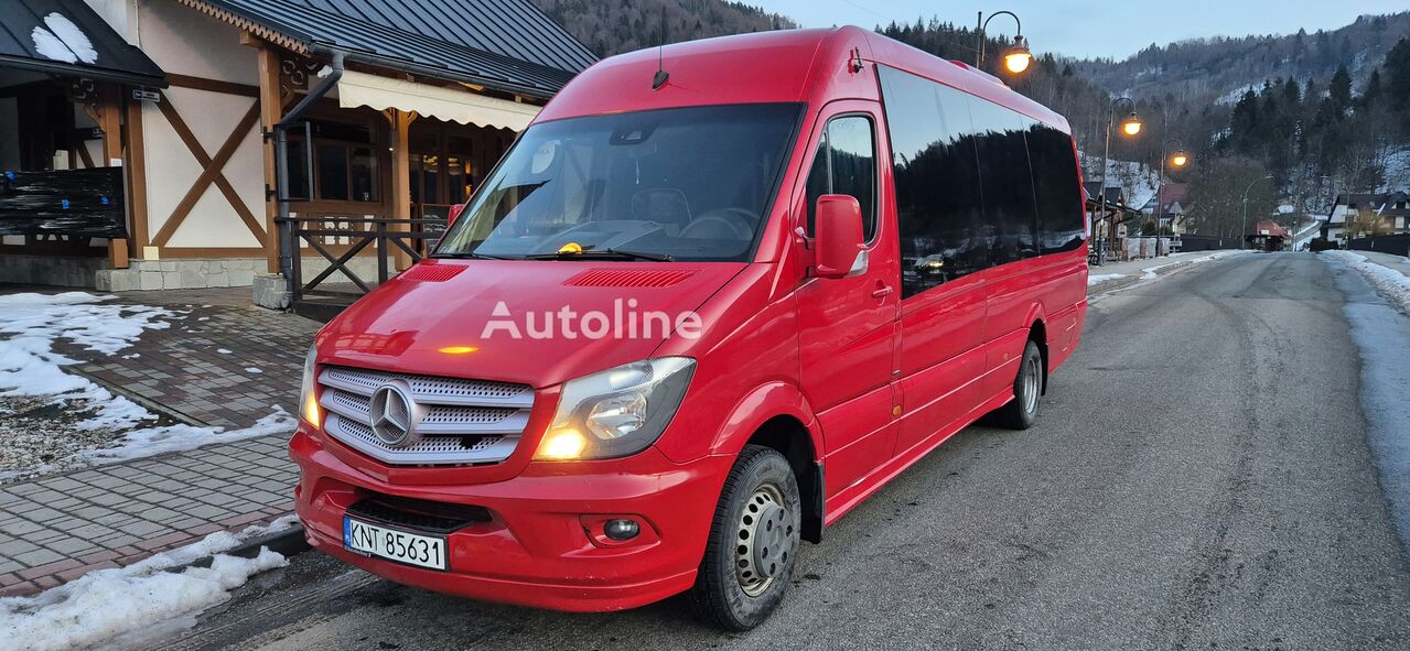 Mercedes-Benz Sprinter 519 putnički minibus