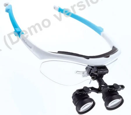 Takara-Belmont TBLS-2/ TBLD-3 BINOCULAR LOUPES