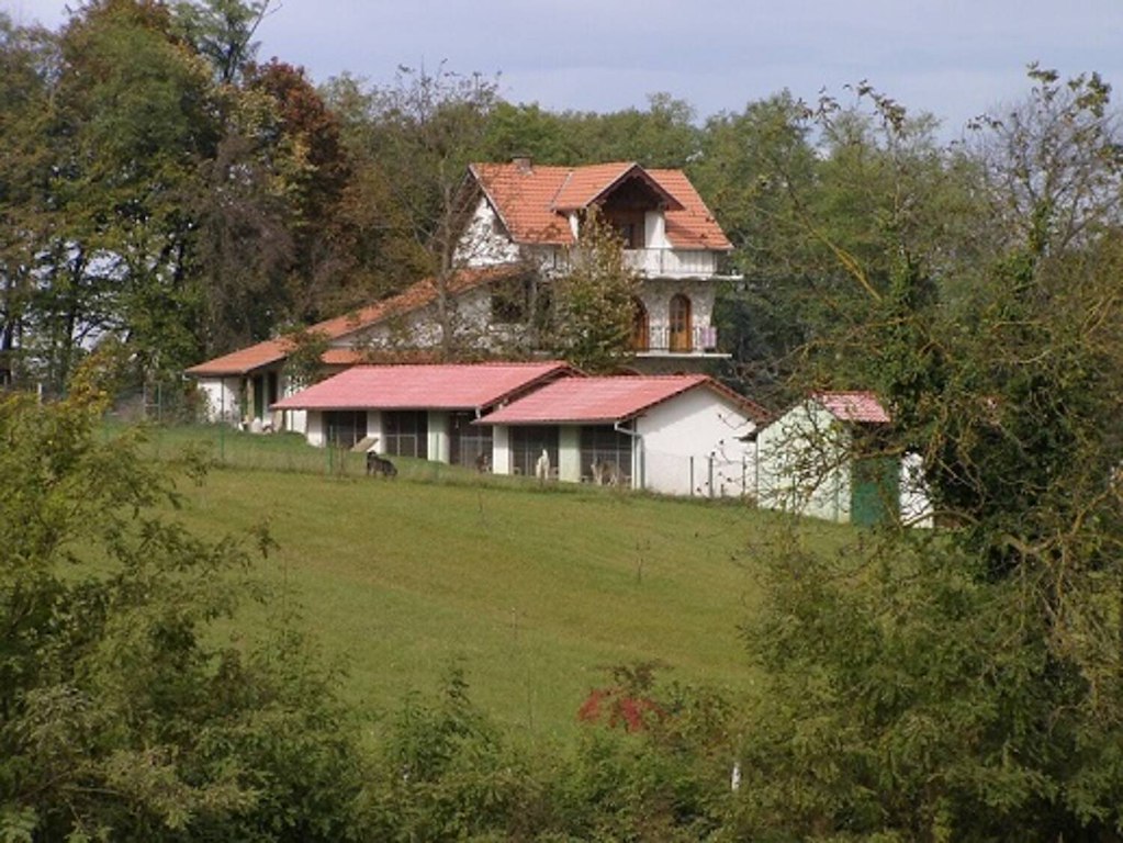 Kuca Đurđevac sa okucnicom 20.000m2 i pomocnim objektima