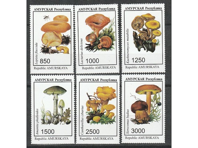 Amurskaya Republic - 1996 - Mushrooms  - MNH