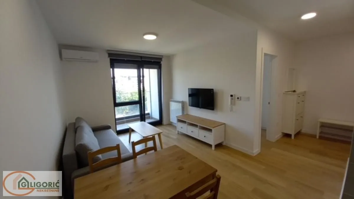 Izdavanje, dvosoban stan, 45m2, Novi Beograd, Beograd